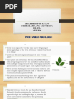 Leaf and Leaflet Morphology Guide | PDF | Leaf | Branches Of Botany