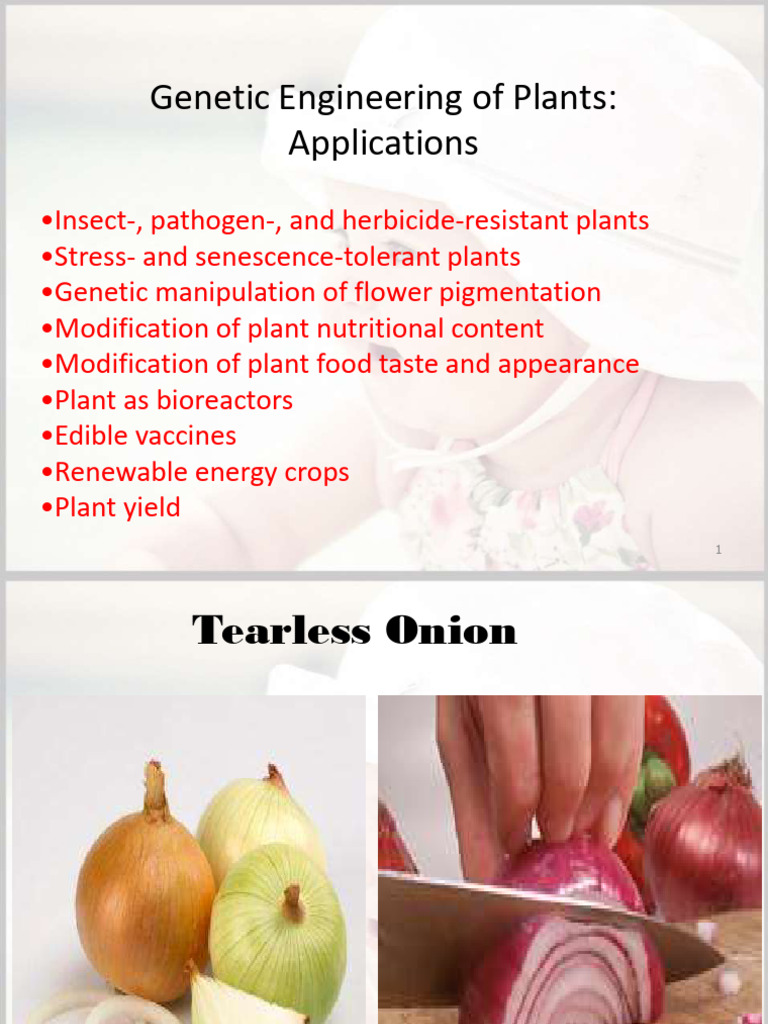 Genetic Engineering in Plant Applications | PDF | Rna Interference ...