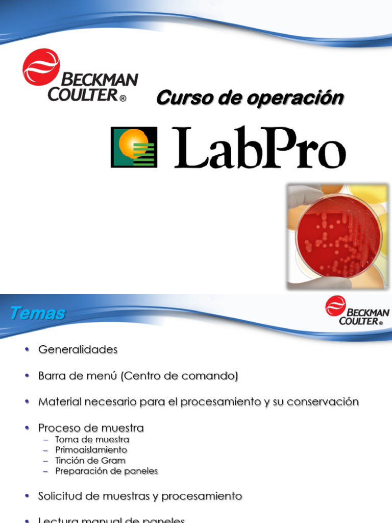 Entrenamiento LABPRO | PDF | Microbiología | Biología