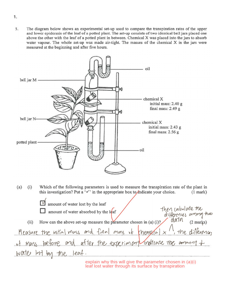 Lesson 13-7-2025 (Marked) | PDF