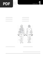 Anatomical Position Worksheet | PDF | Anatomical Terms Of Location ...