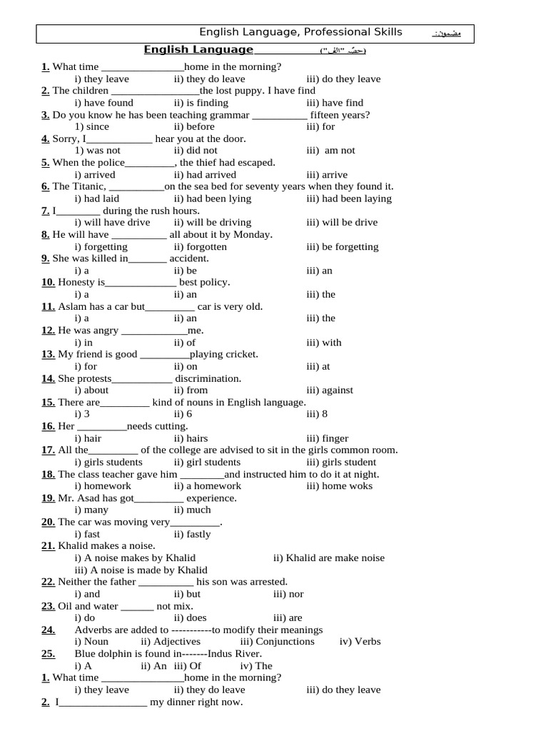 English Language & Professional Skills Test | PDF | Adjective | Adverb