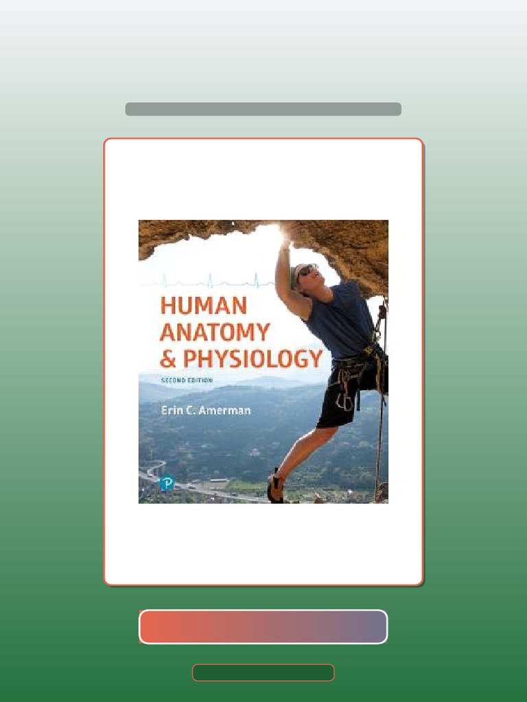 Human Anatomy and Physiology 2nd Edition by Amerman eBook and TestBank ...