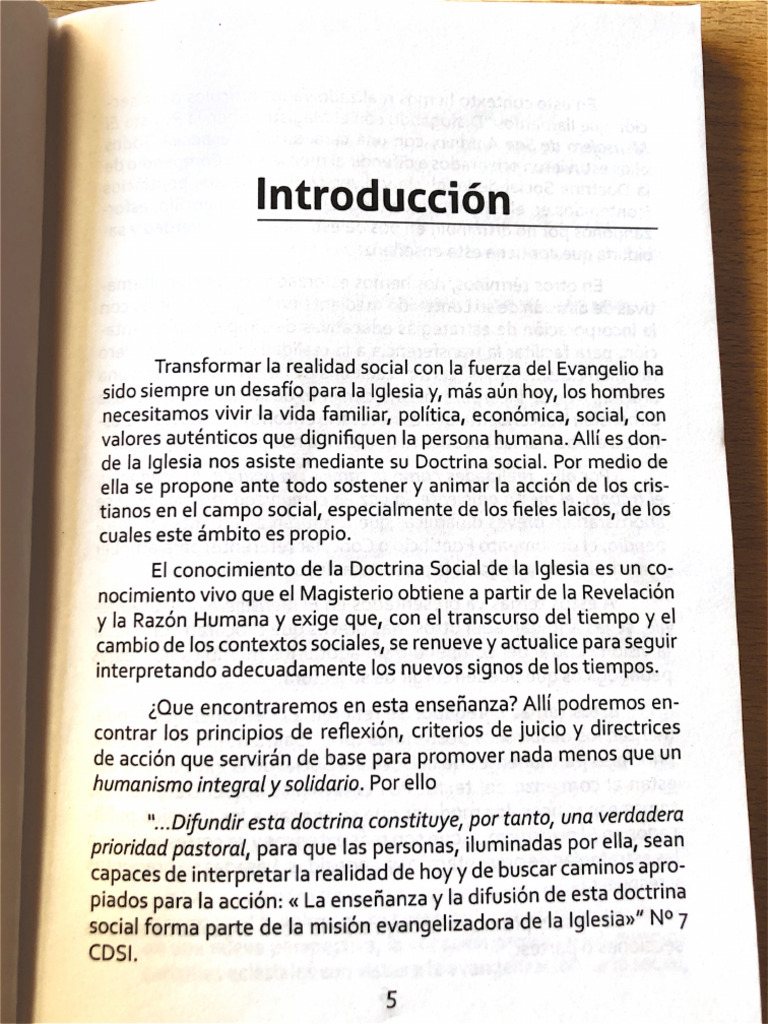 Introducción DSI | PDF