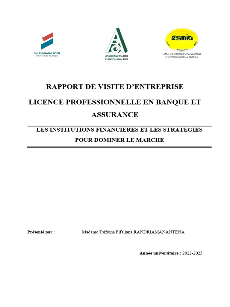 Stratégies de BNI et ARO à Madagascar | PDF | Banques | Business