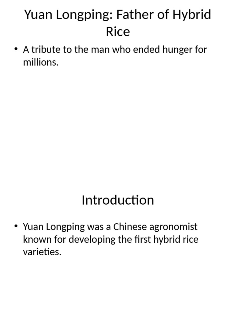 Yuan Longping Hybrid Rice Presentation | PDF
