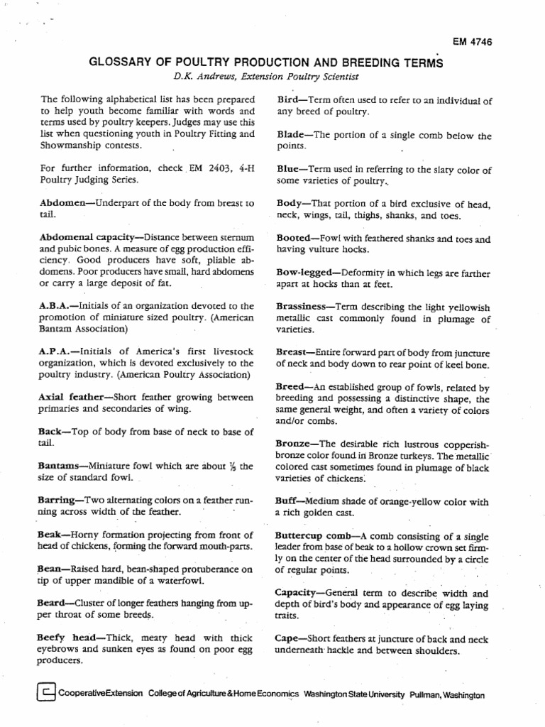Poultry Glossary | PDF