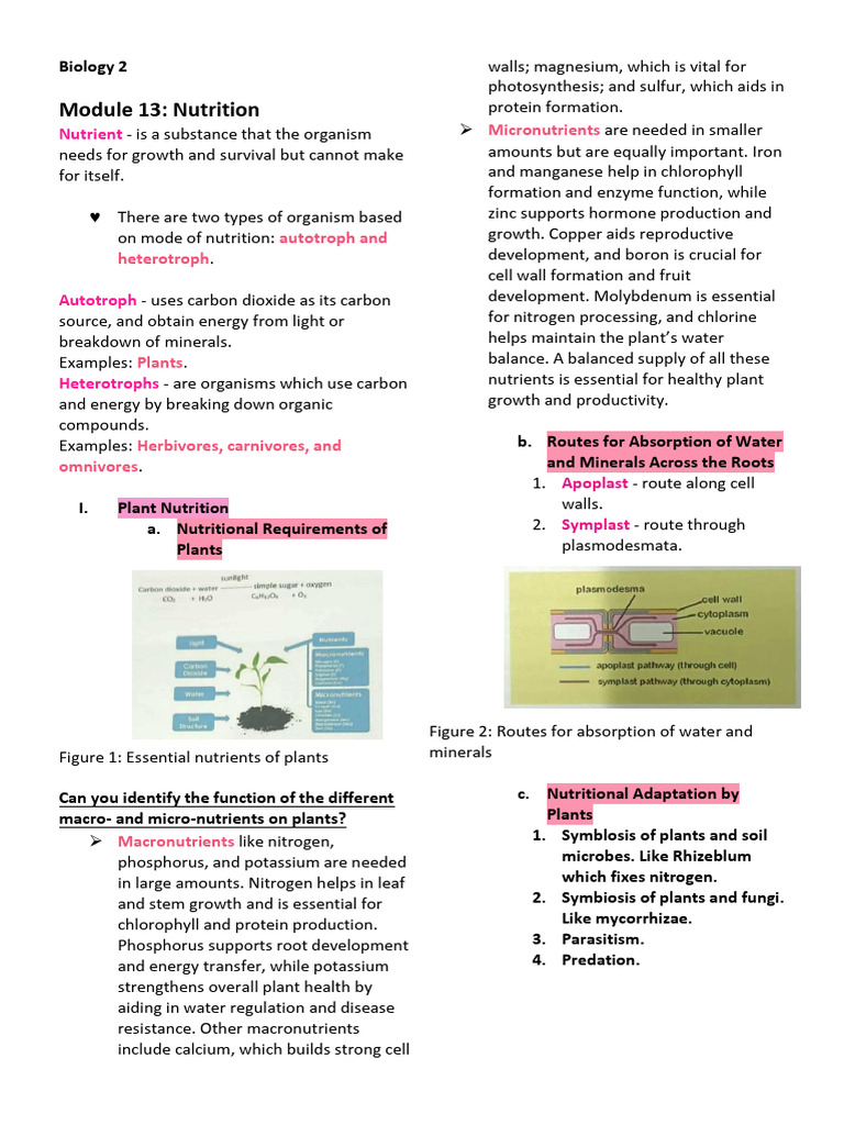 Biology 2 - Module 13 | PDF | Digestion | Nutrition