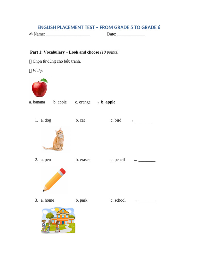 Grade 5-6 English Placement Test | PDF | Chess Openings | Chess