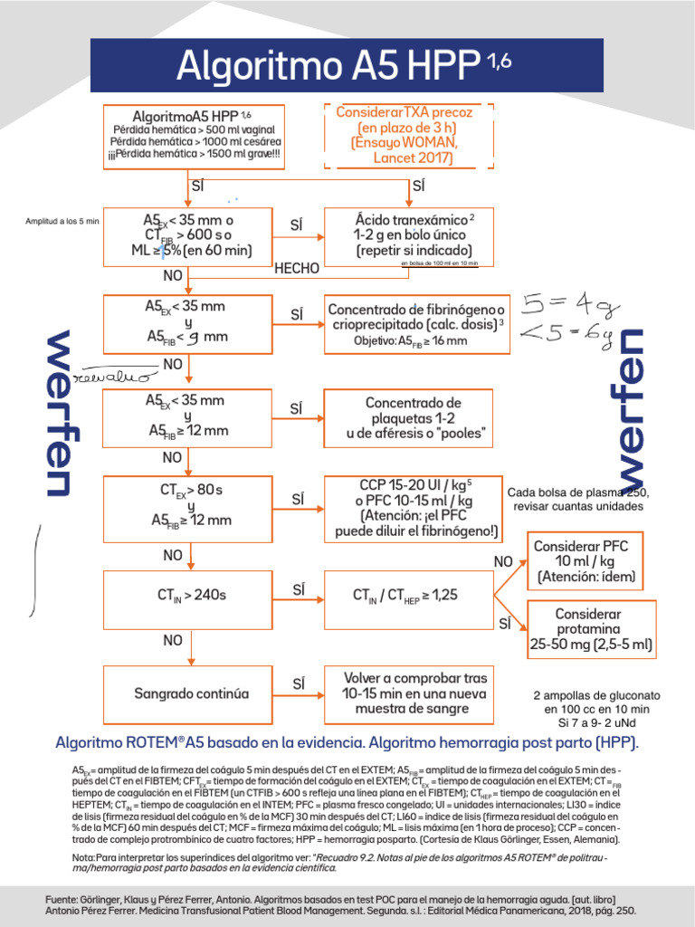 Algoritmo ROTEM A5 para HPP | PDF | Serología | Medicina CLINICA