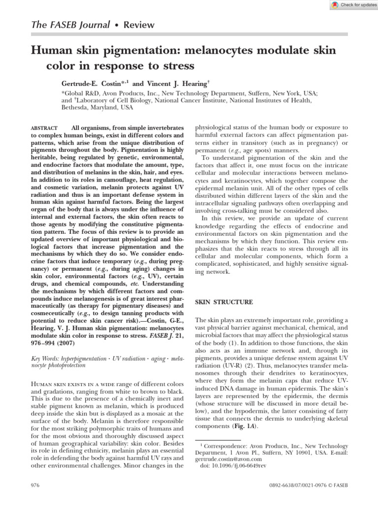 Human skin pigmentation | PDF | Epidermis | Ultraviolet
