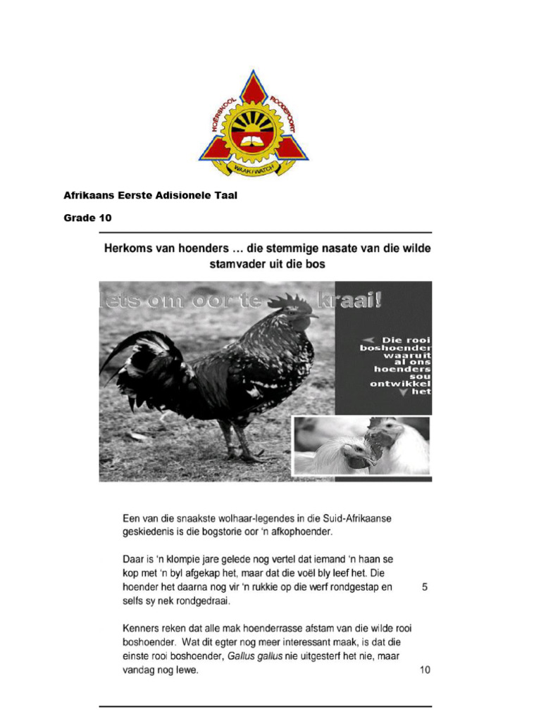 Afrikaans Eerste Adisionele Taal | PDF