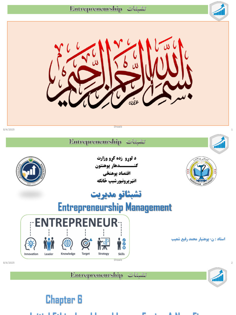 Entrepreneurship Chapter 6 | PDF | Limited Liability Partnership | Business