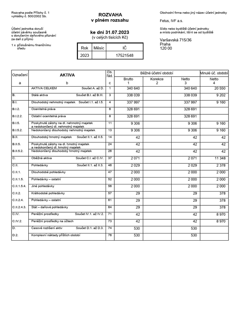 Fetus Ivf A S Rozvaha V Plnem Rozsahu | PDF