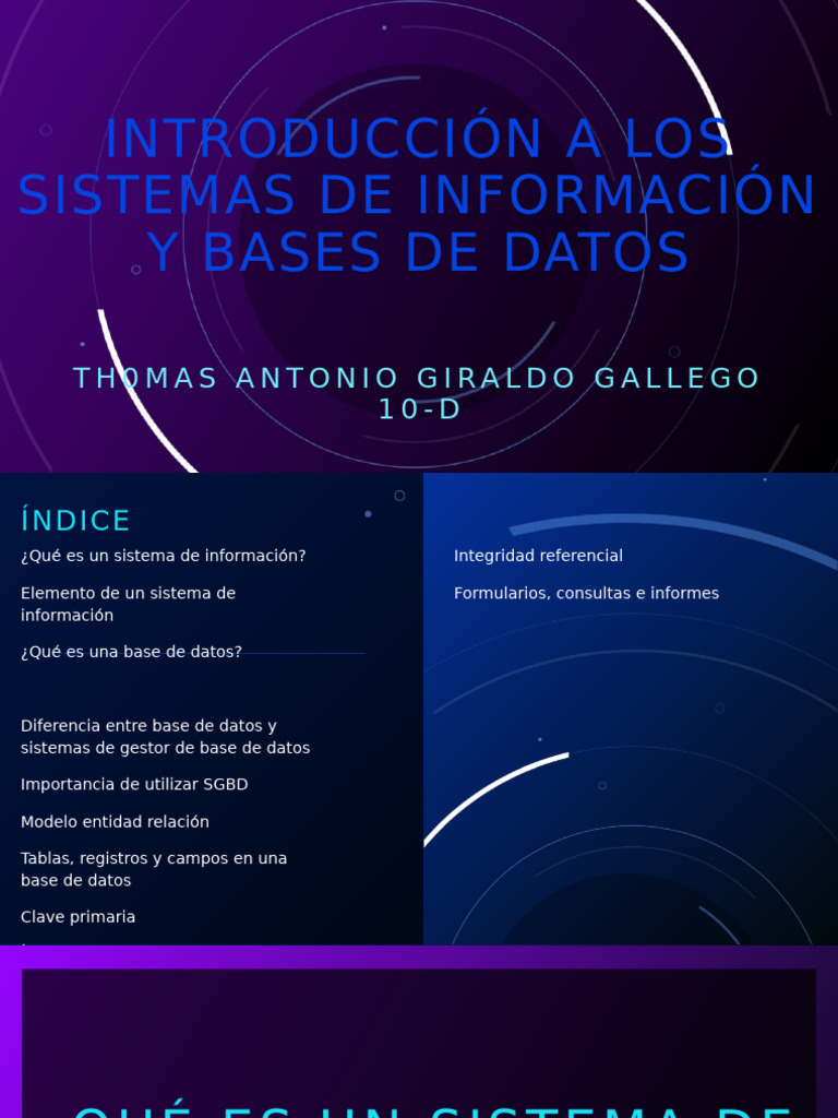 Bases de Datos y Sistemas de Informacion | PDF | Bases de datos ...