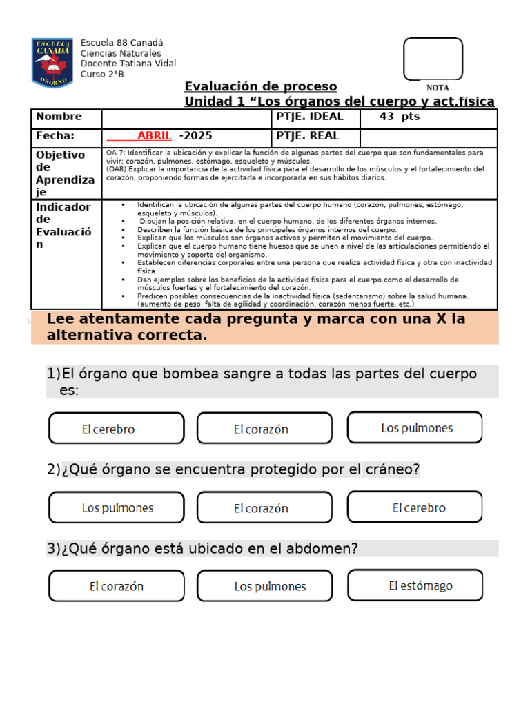 Prueba de Ciencias Unidad 1 Organos Del Cuerpo 2año B Abril | PDF ...