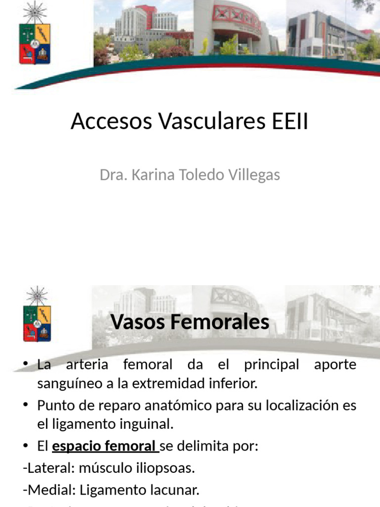 Accesos Vasculares EEII | PDF | Rodilla | Anatomía humana