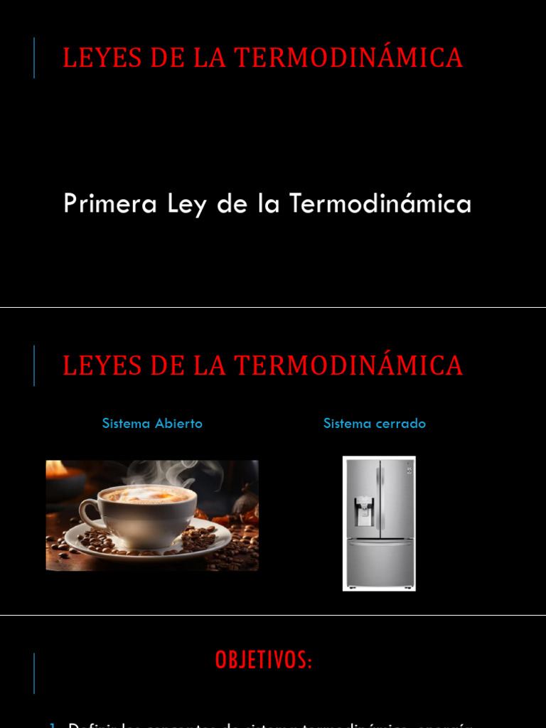 Leyes de La Termodin-Mica-1.1 | PDF