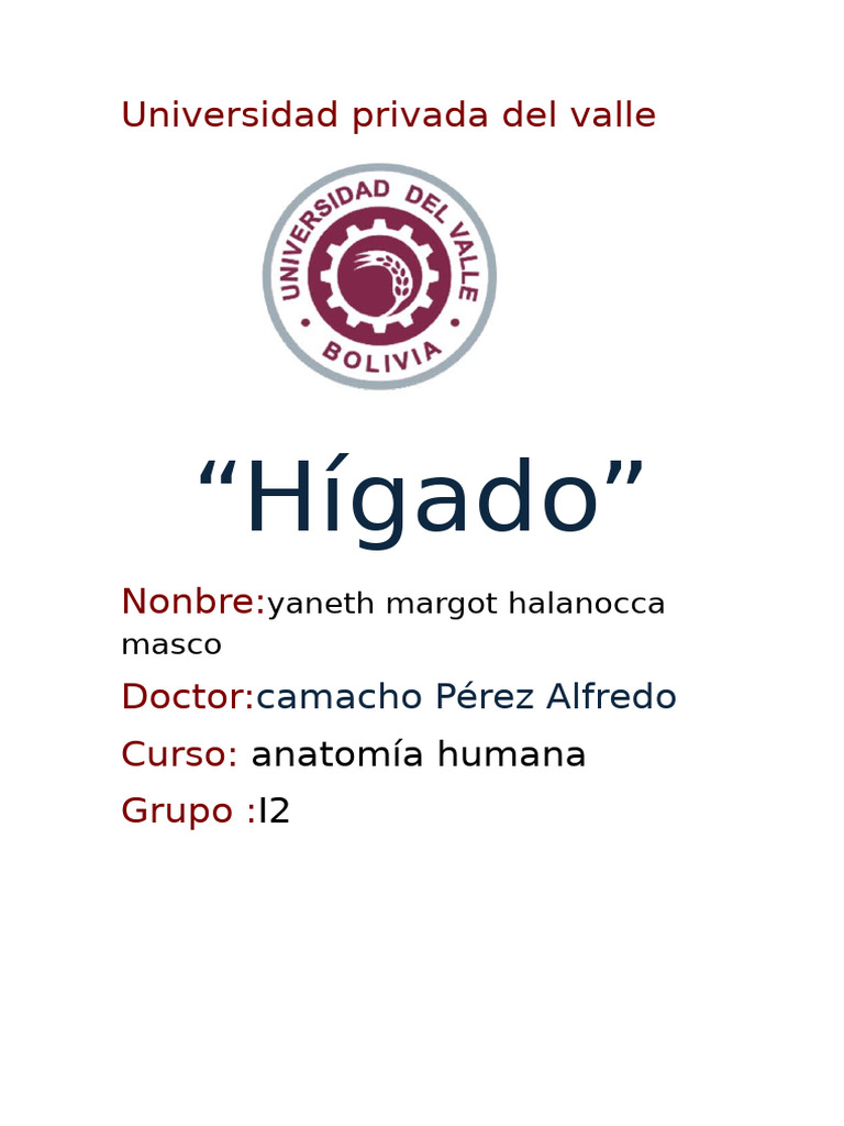 Higado Yaneth | PDF | Hígado | Anatomia animal