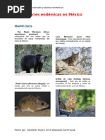 Fauna Diversa de Michoacán | PDF | Mamíferos | Zoología