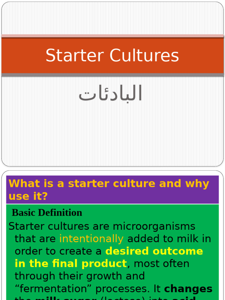 Starter Cultures ١١٠٨٥٥ | PDF | Lactic Acid | Lactobacillus