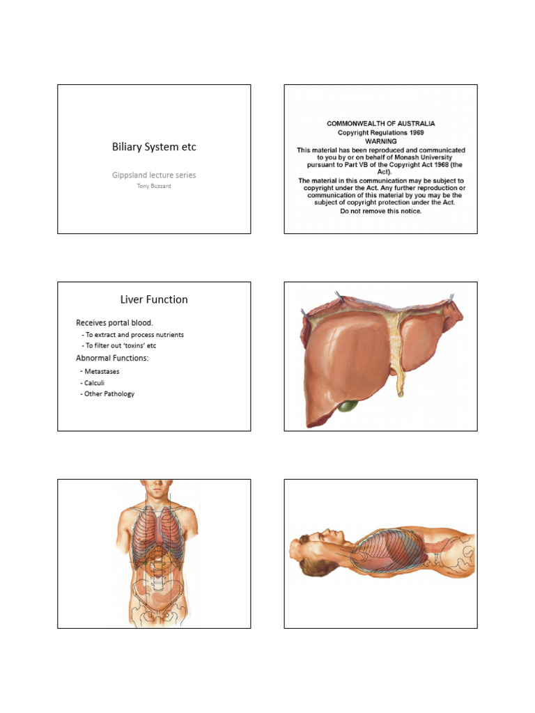 Spleen Function and Clinical Significance | PDF | Liver | Pancreas