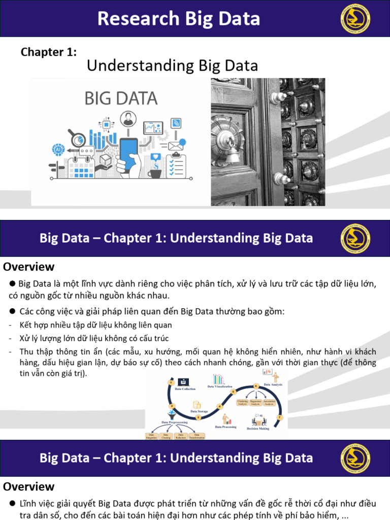 Chapter1 BigData | PDF