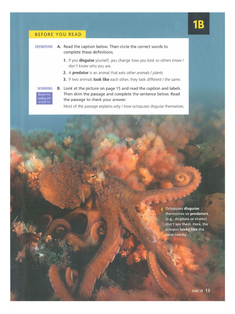 Daily Reading - 01 Apr - Amazing Animals | PDF
