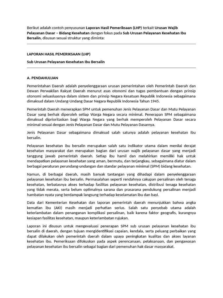 Berikut Adalah Contoh Penyusunan Laporan Hasil Pemeriksaan SPM | PDF