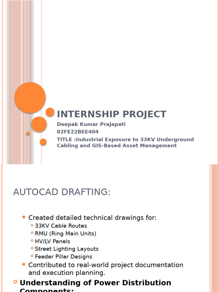 Internship Project | PDF