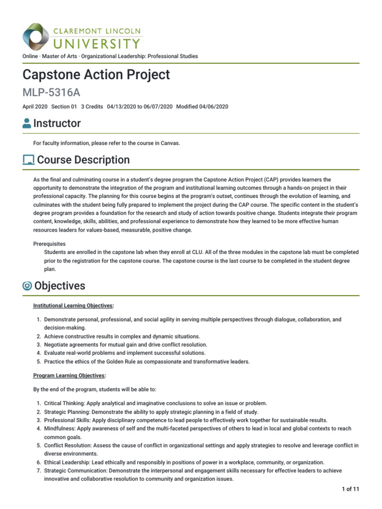 Capstone Action Project Overview | PDF | Plagiarism | Thesis