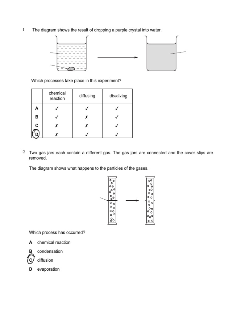 Worksheet 2 Diffusion | PDF | Ammonia | Gases