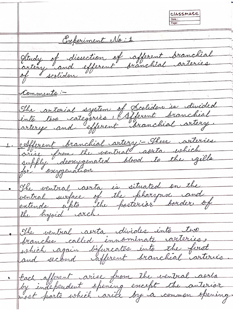 P 16 Practical Notes | PDF