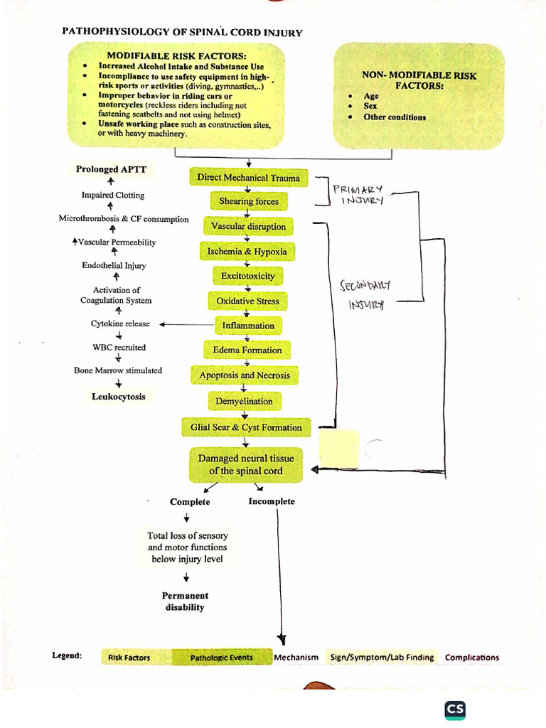 Path o Physiology | PDF