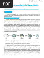 Anatomia da Região Inguinal | PDF | Anatomia