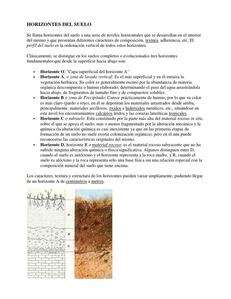 Horizontes del Suelo y su Clasificación | PDF