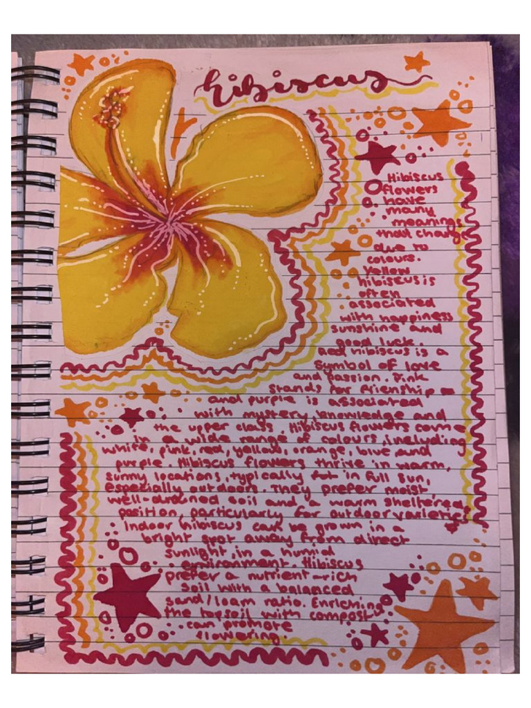 ImageToPDF_20250804_000714 | PDF