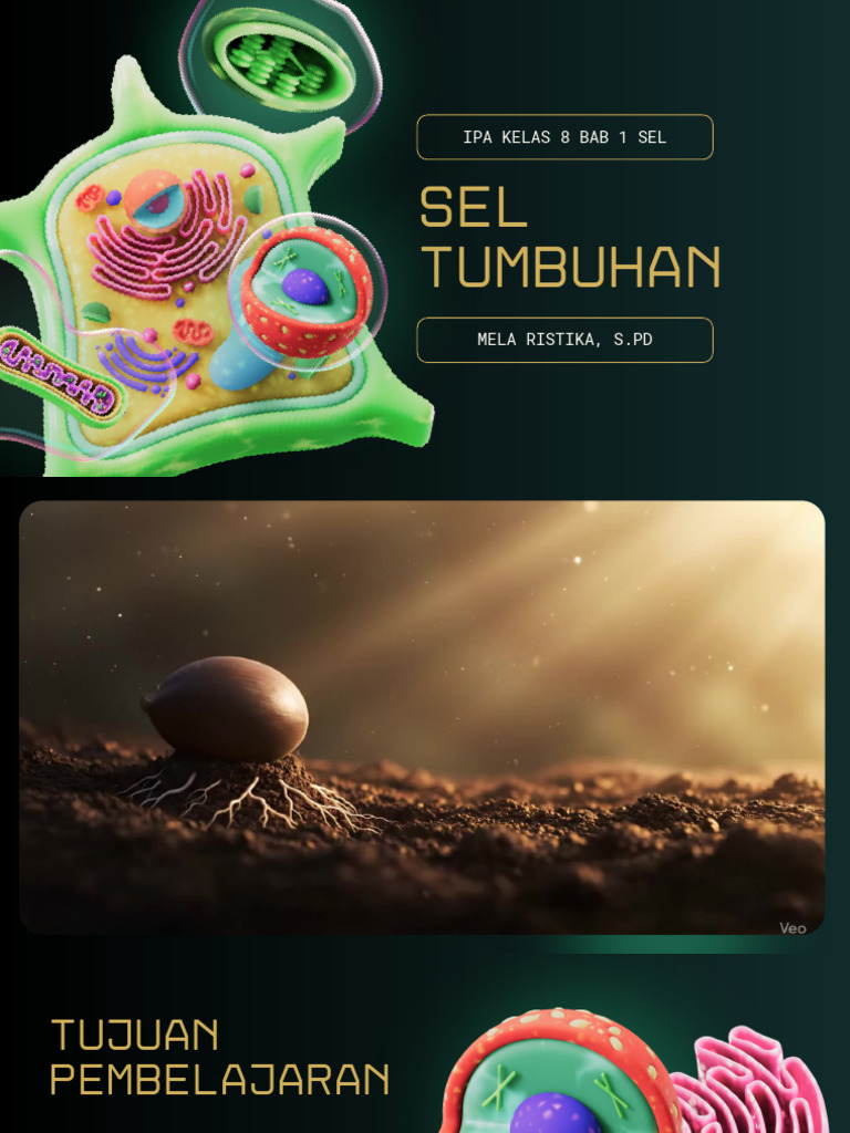 Sel Tumbuhan: Struktur dan Fungsi | PDF