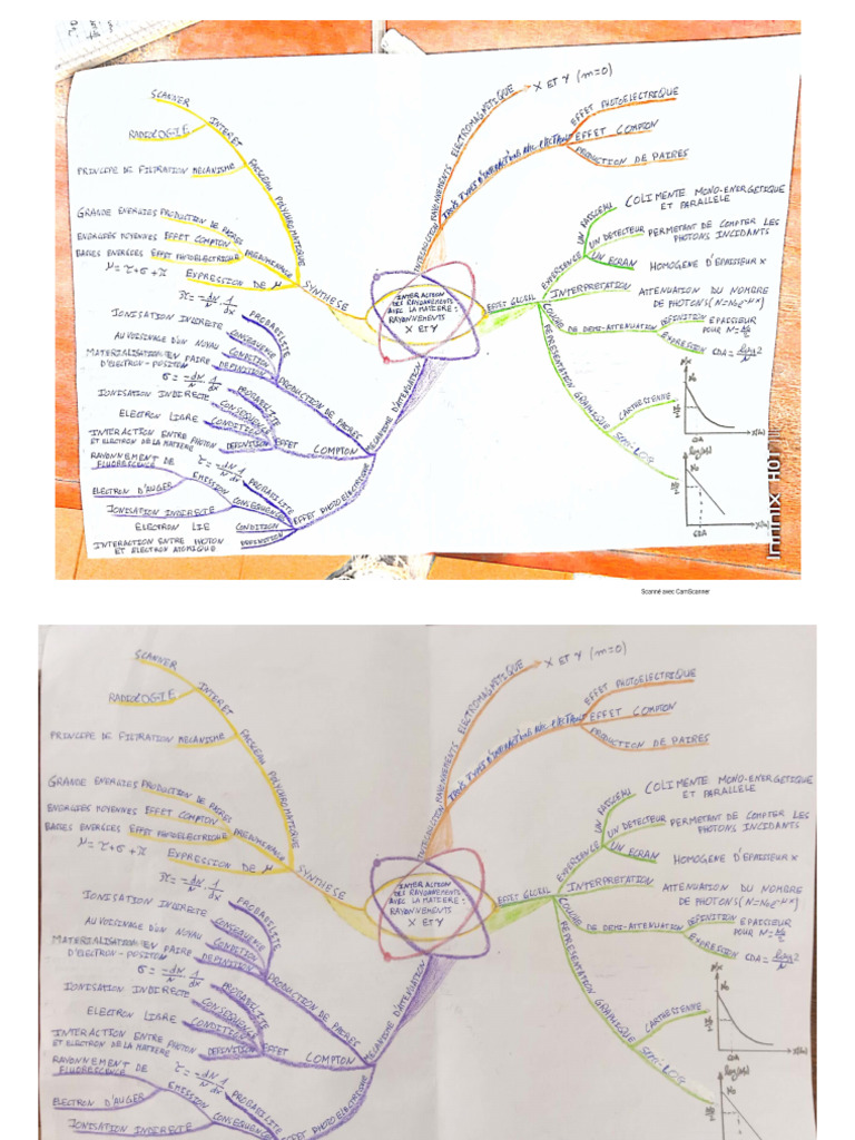 mind Map | PDF