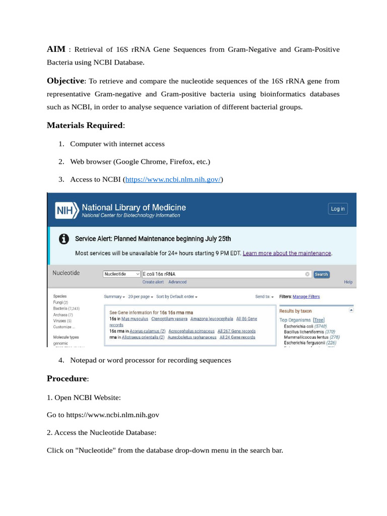 Bioinformatics Experiment 01 | PDF | 16 S Ribosomal Rna | Ribosomal Rna