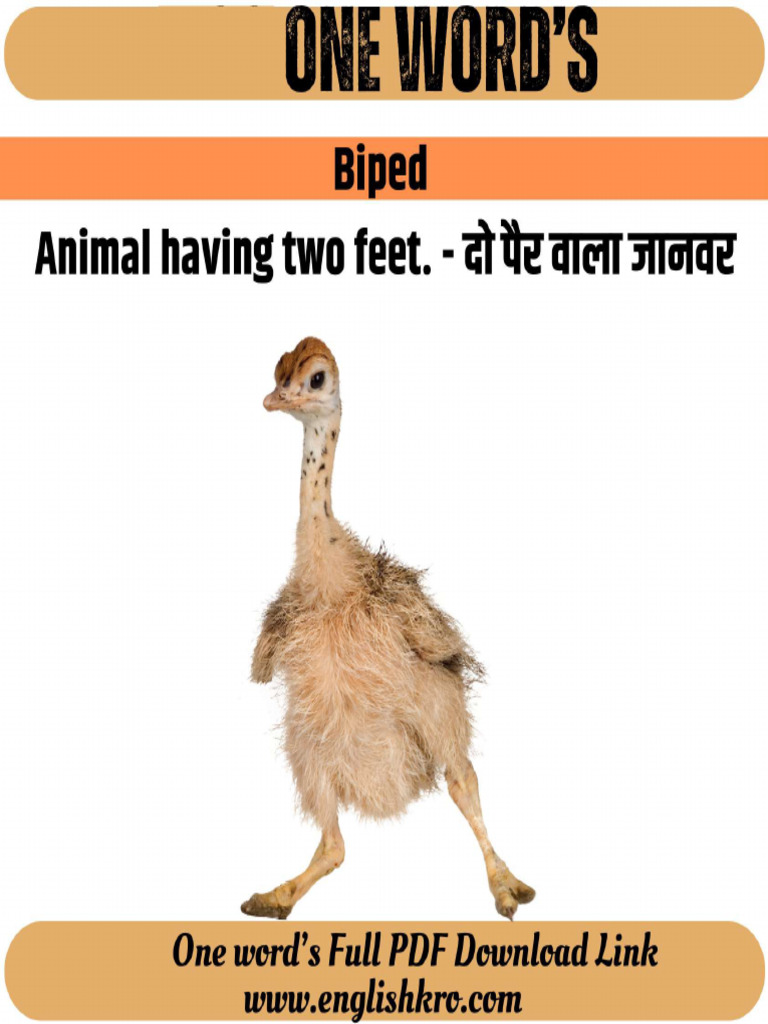 One Word With Images Part 29 - Compressed | PDF