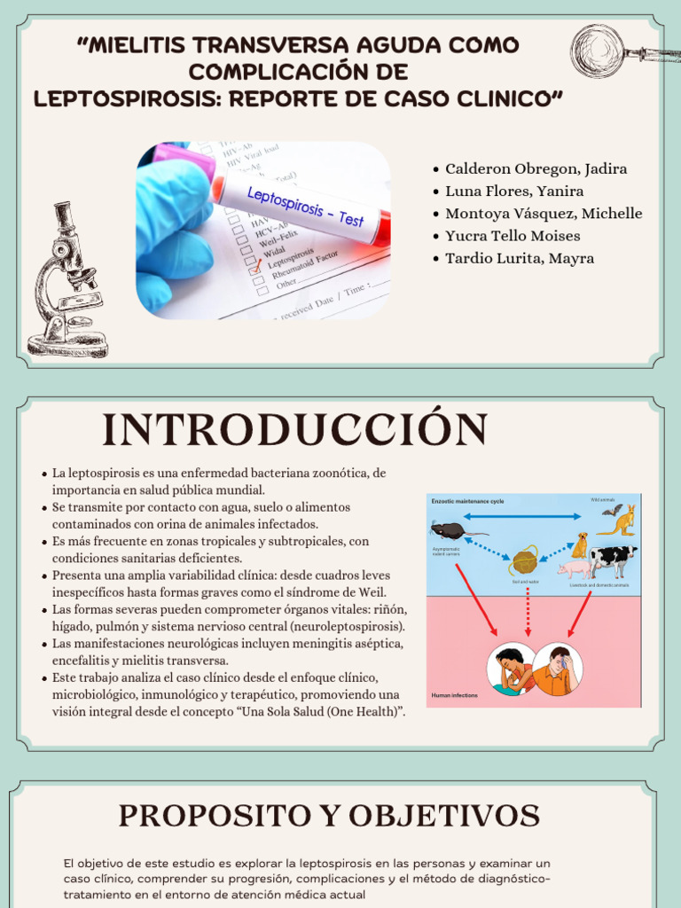 Mielitis transversa por leptospirosis | PDF | Enfermedades y trastornos ...