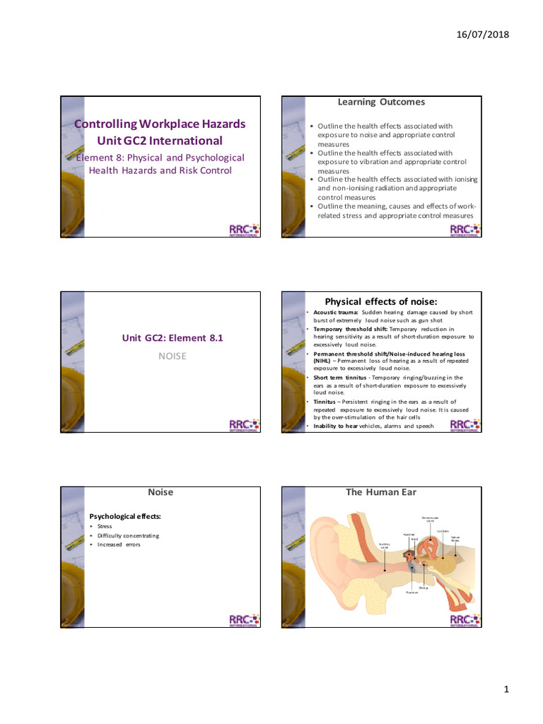 Controlling Physical Hazard | PDF | Noise | Radiation Protection