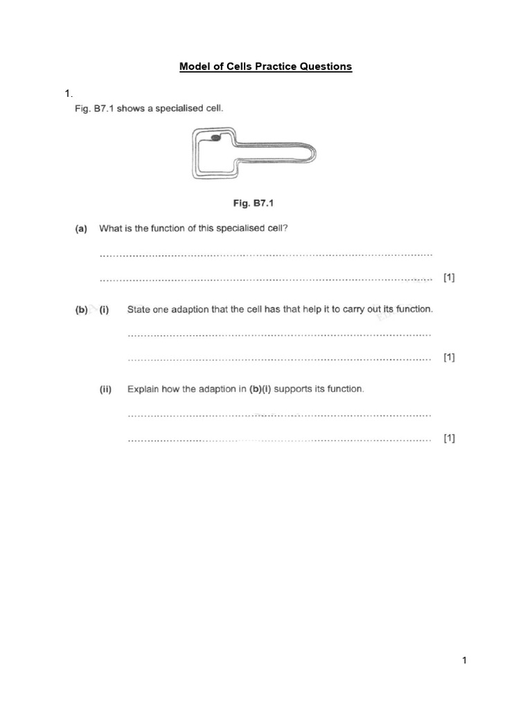 Model of Cells Practice Questions | PDF
