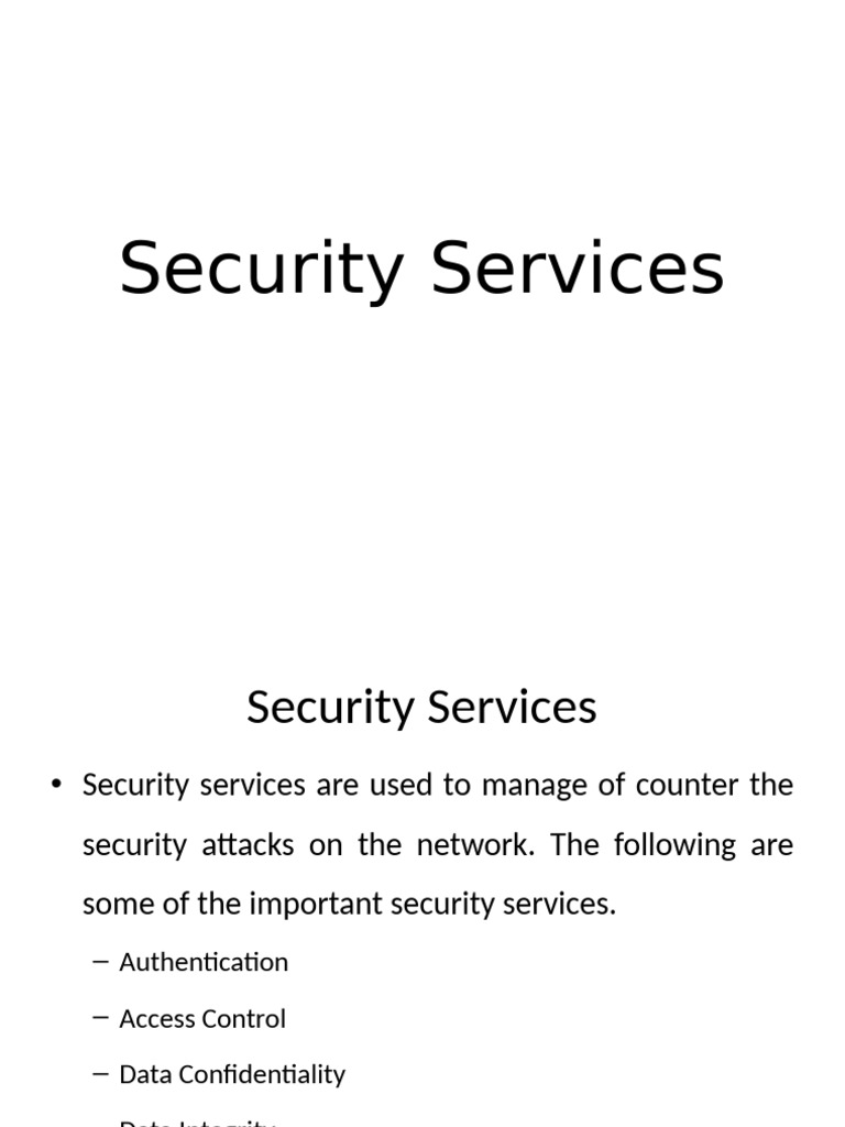 Security Services | PDF