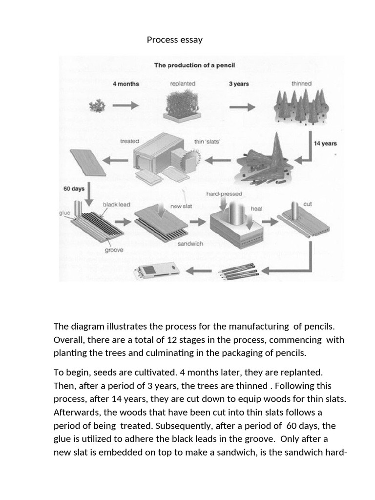 Process Essay EXAMPLE | PDF