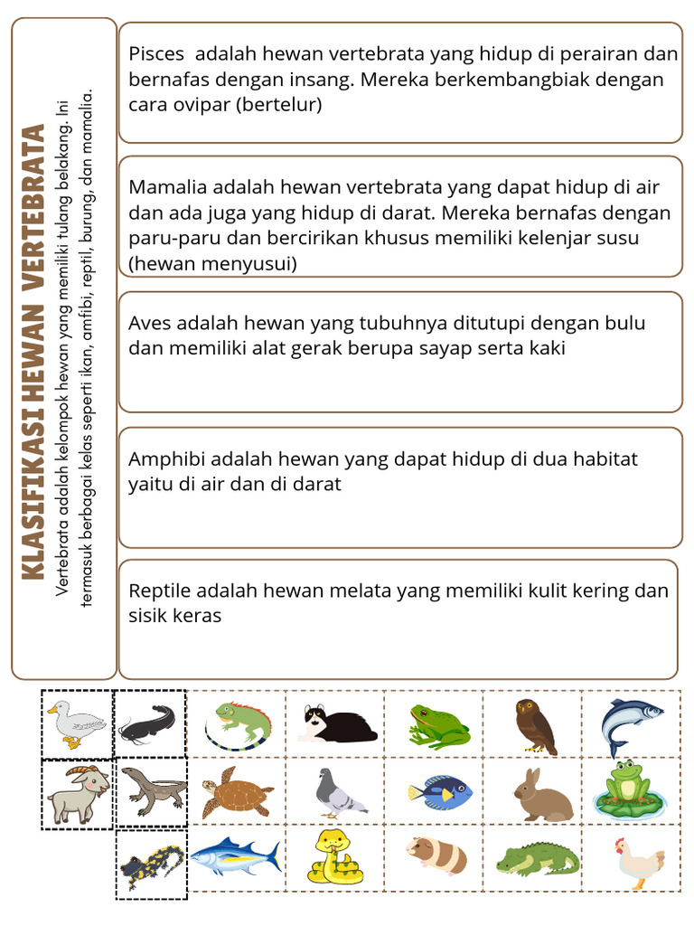 Klasifikasi Hewan Vertebrata | PDF