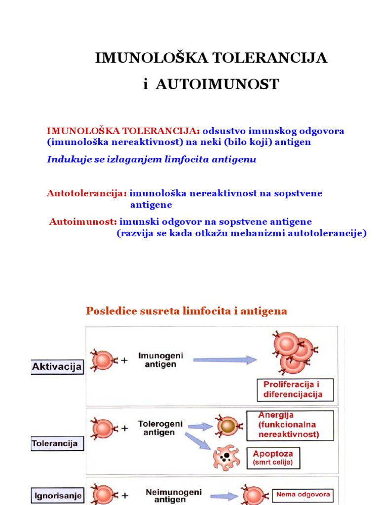 8 Tolerancija I Autoimunost | PDF