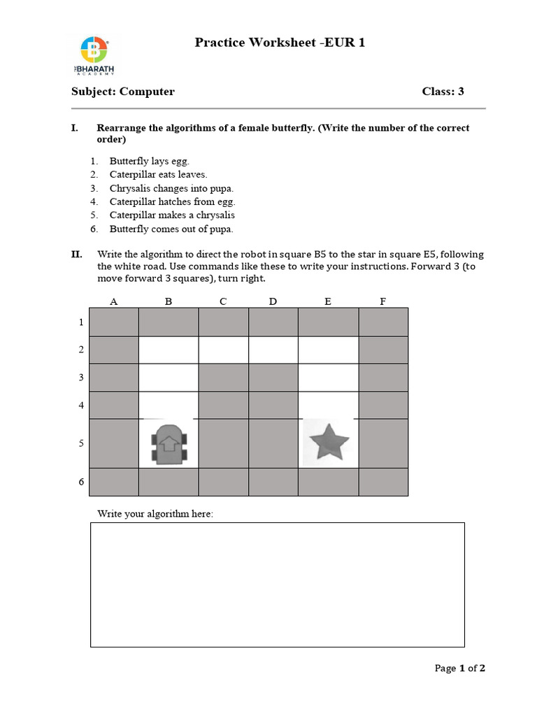Grade 3 - Practice Worksheet - Computing | PDF