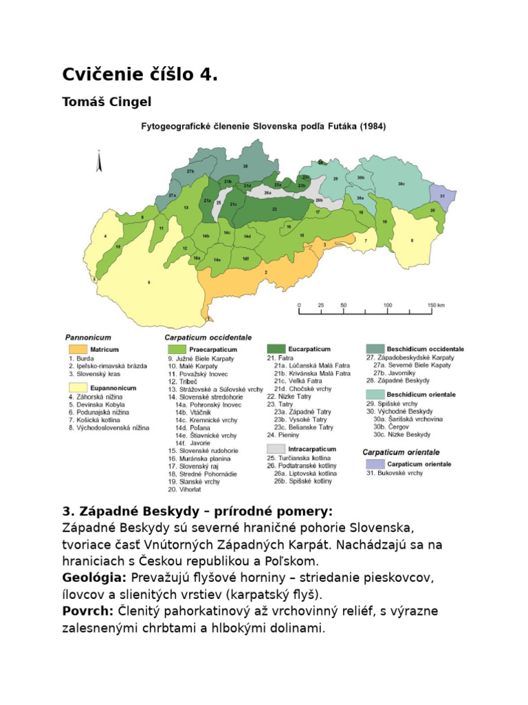cv4 Cingel | PDF
